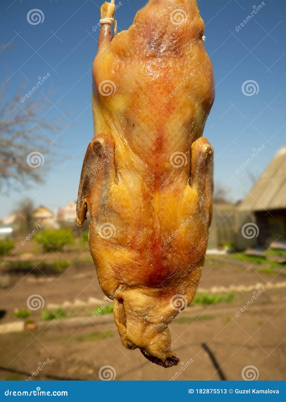 Dried Goose, Tatar National Dish. Stock Image - Image of brown, juicy ...