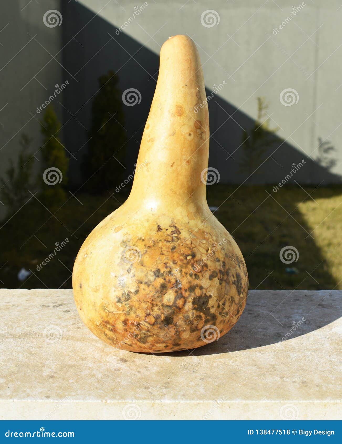 Dried Gourds of Different Sizes Stock Photo - Image of bottle, gourds ...
