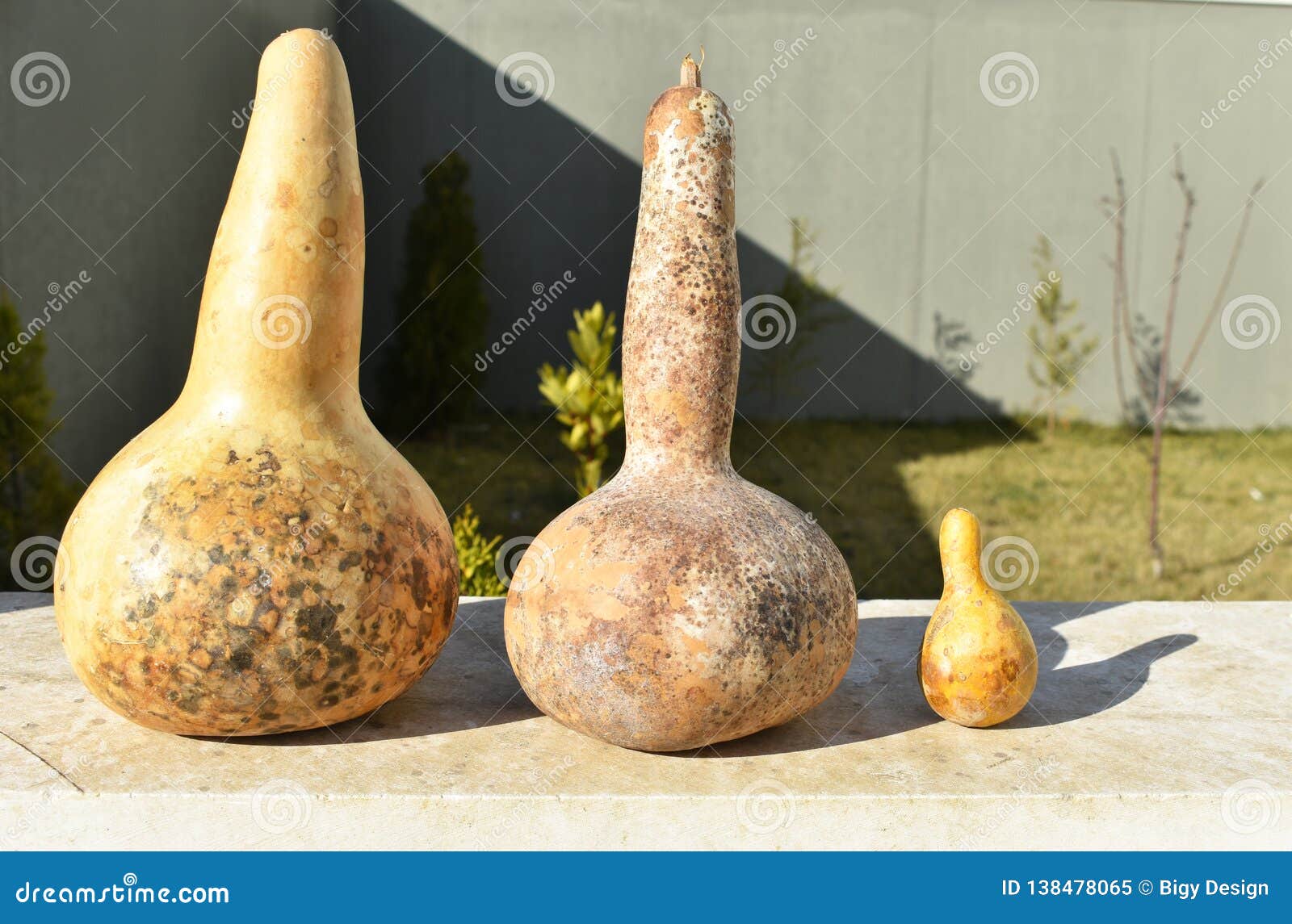 Dried Gourds of Different Sizes Stock Image - Image of chinese ...
