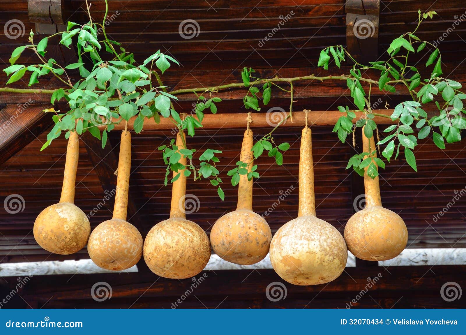 Dried Gourds Hanging on the Beams in a House Stock Photo - Image of ...