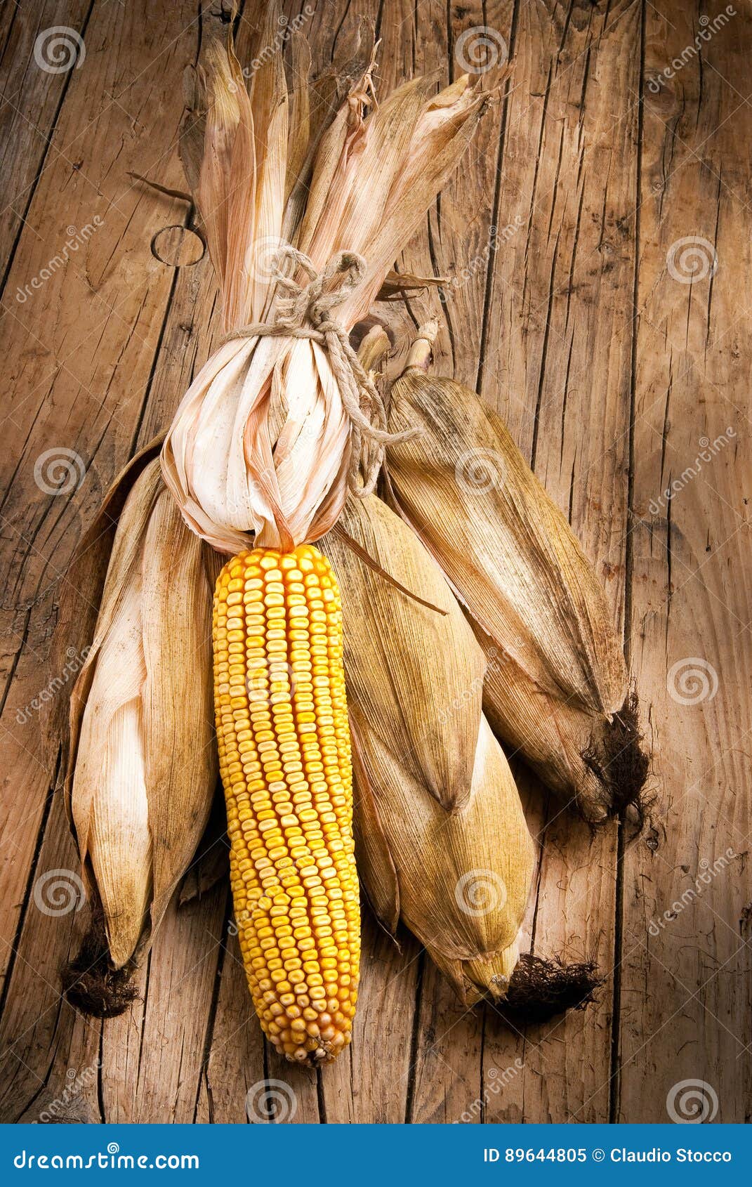 Dried grains of maize stock image. Image of maize, produce - 89644805