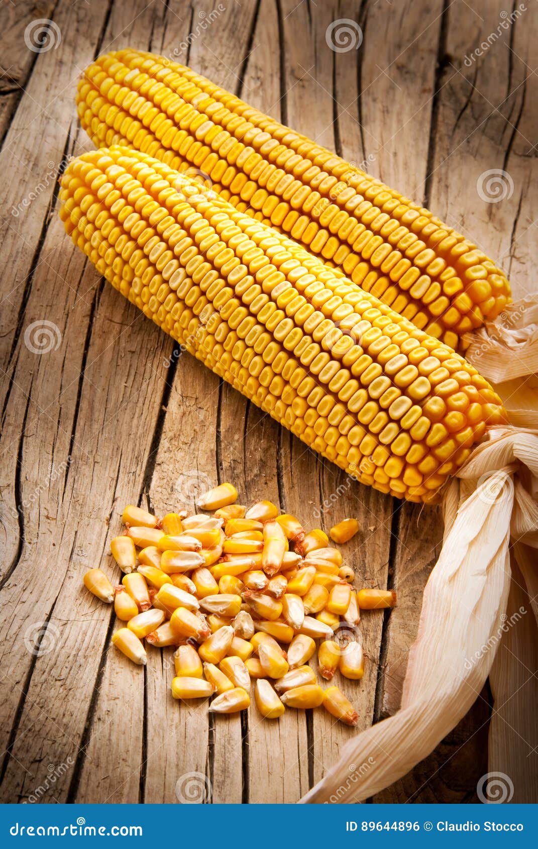Dried grains of maize stock photo. Image of nutrition - 89644896