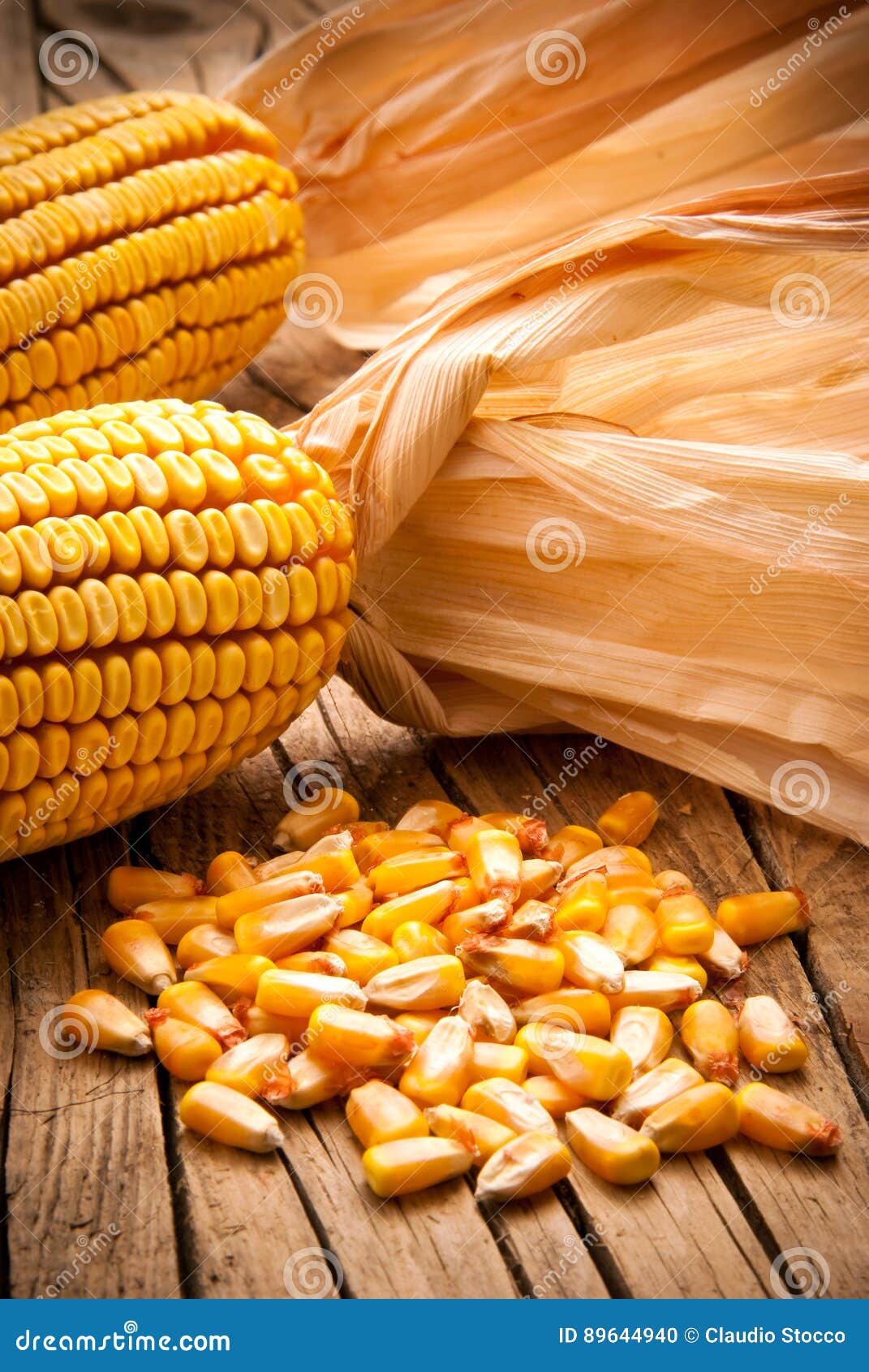Dried grains of maize stock photo. Image of health, ingredient - 89644940