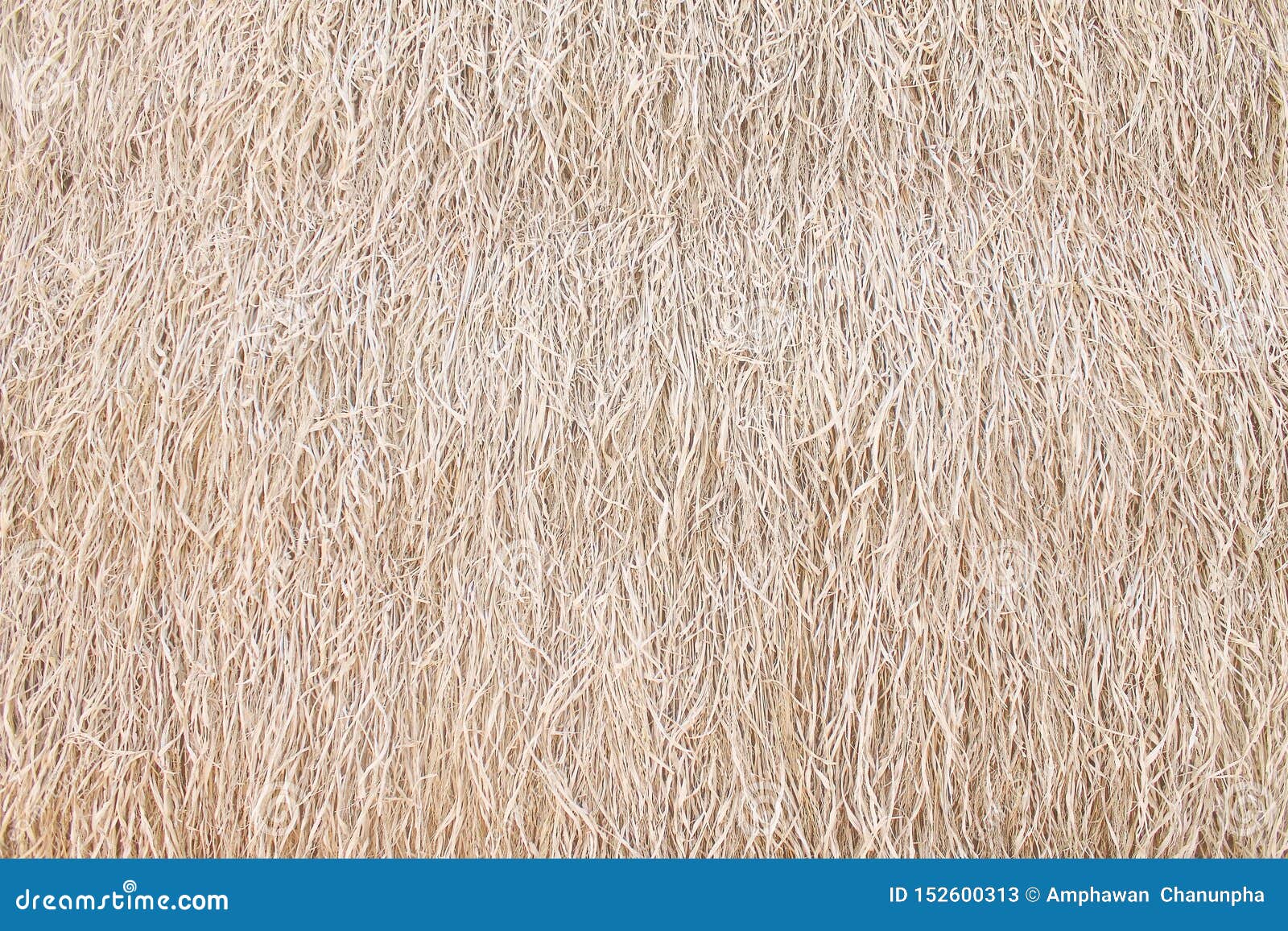 Hay Bale Texture, Dry Textured Straw Background, Golden Haystack In The ...