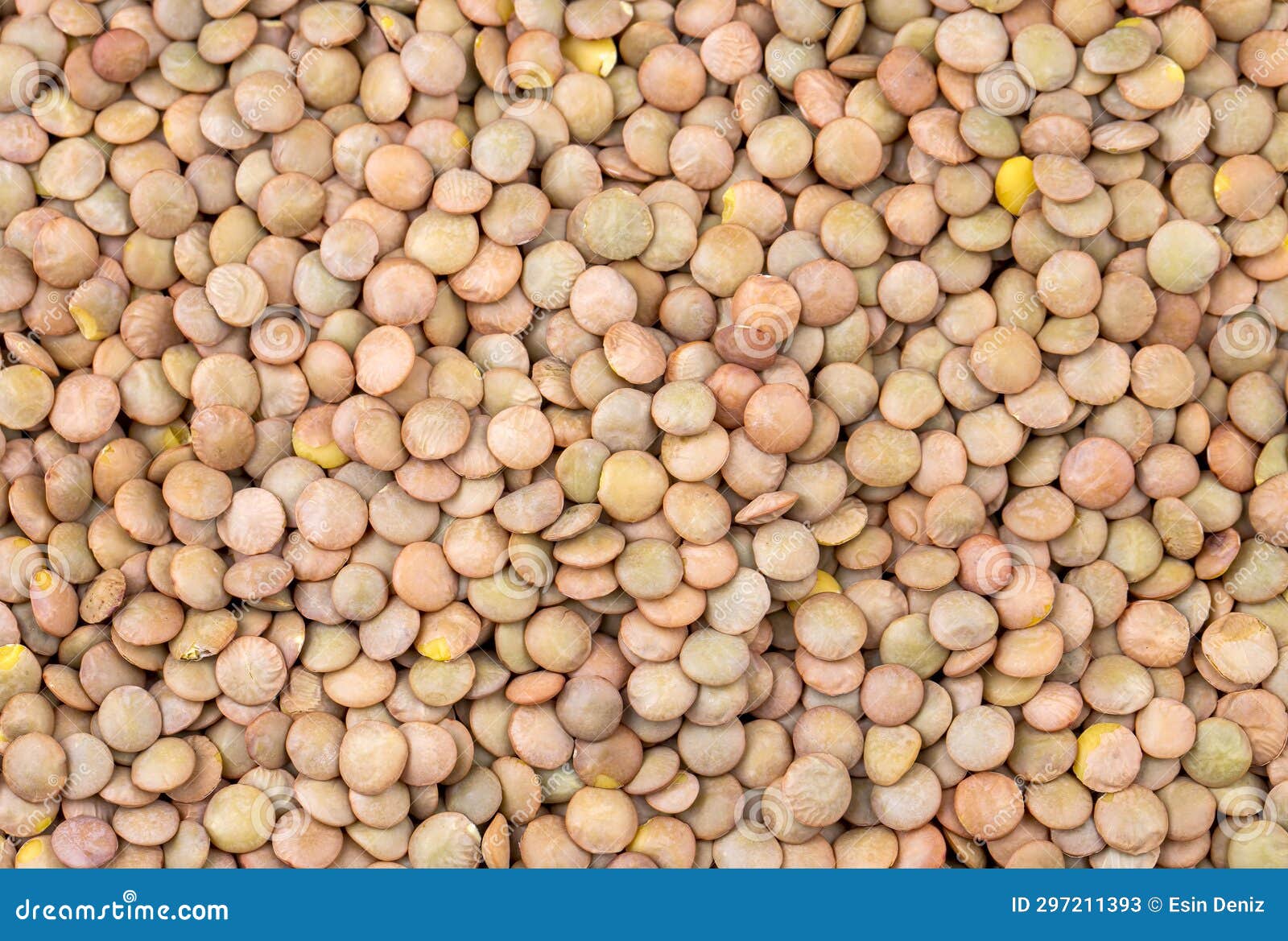 Dried Green Lentil on the White Background. Stock Image - Image of ...