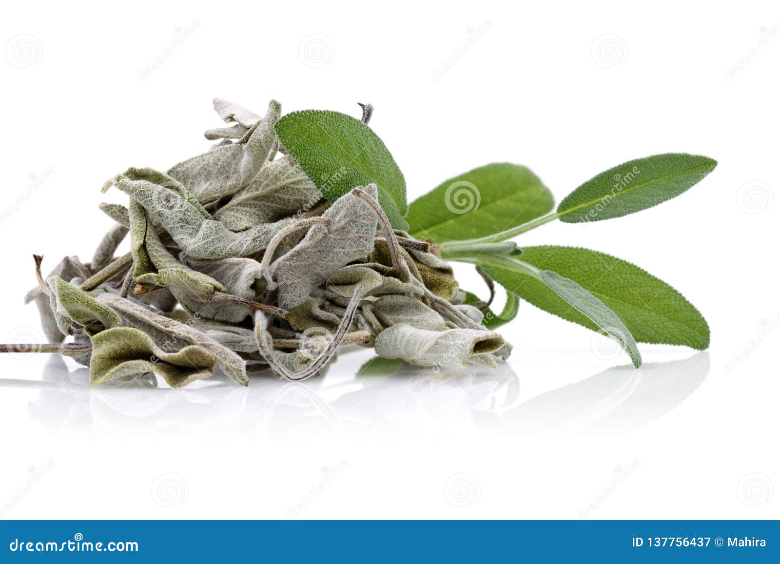 Dried and Green Sage Leaves Stock Image - Image of bowl, fresh: 137756437