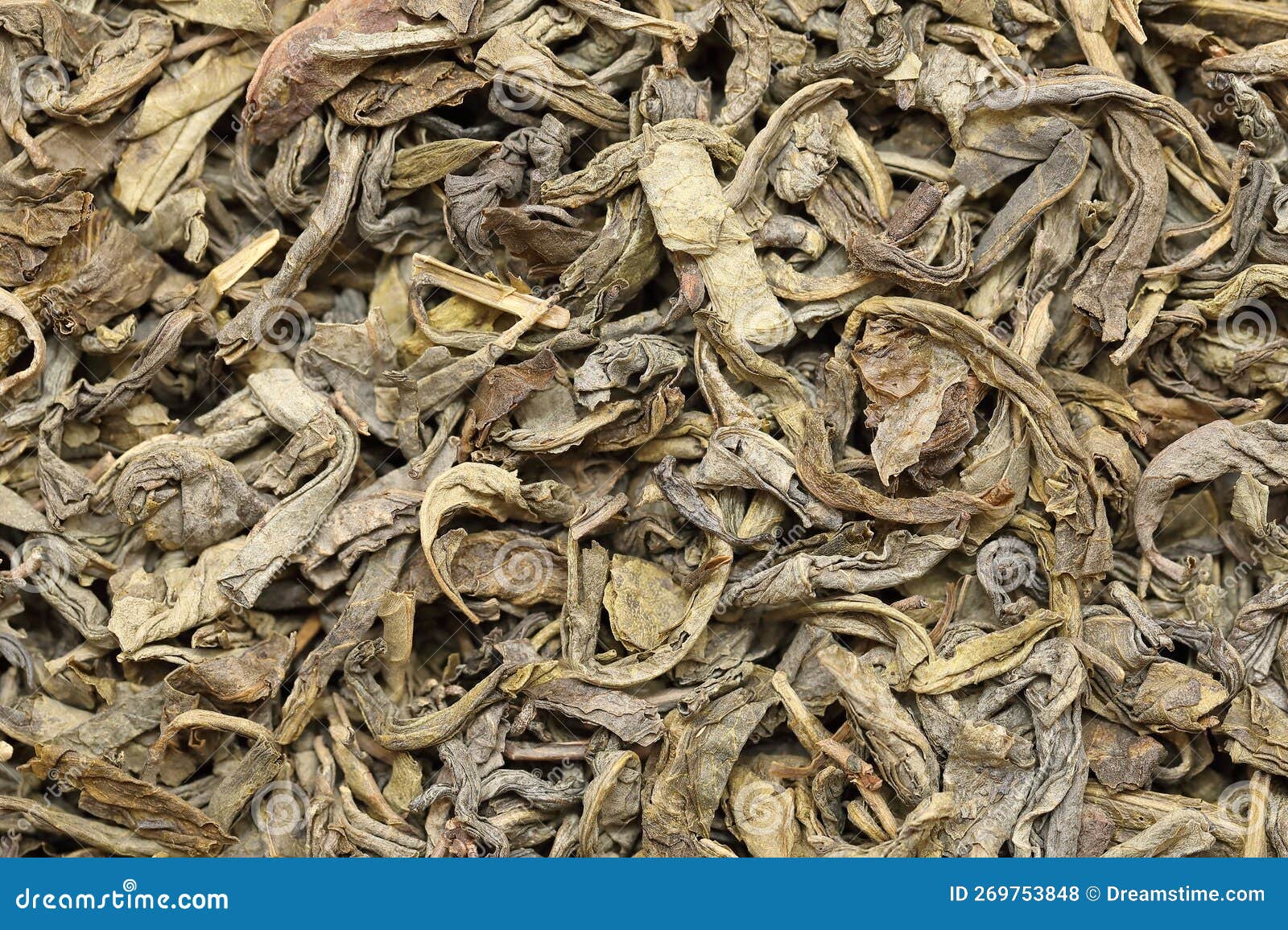 Dried Green Tea Leaves Close-up Stock Photo - Image of heap, tannin ...