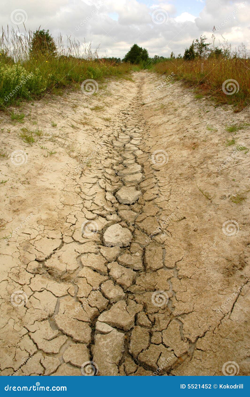 Dried ground stock photo. Image of agriculture, environment - 5521452