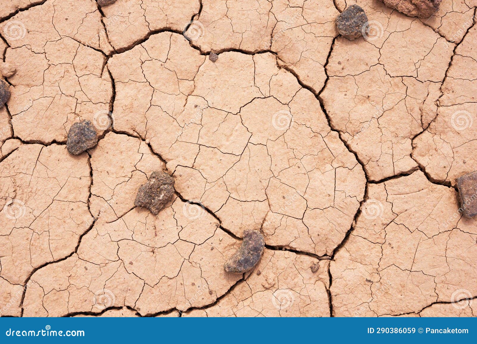 Dried Ground with Mudcracks Stock Image - Image of cracks, textured ...