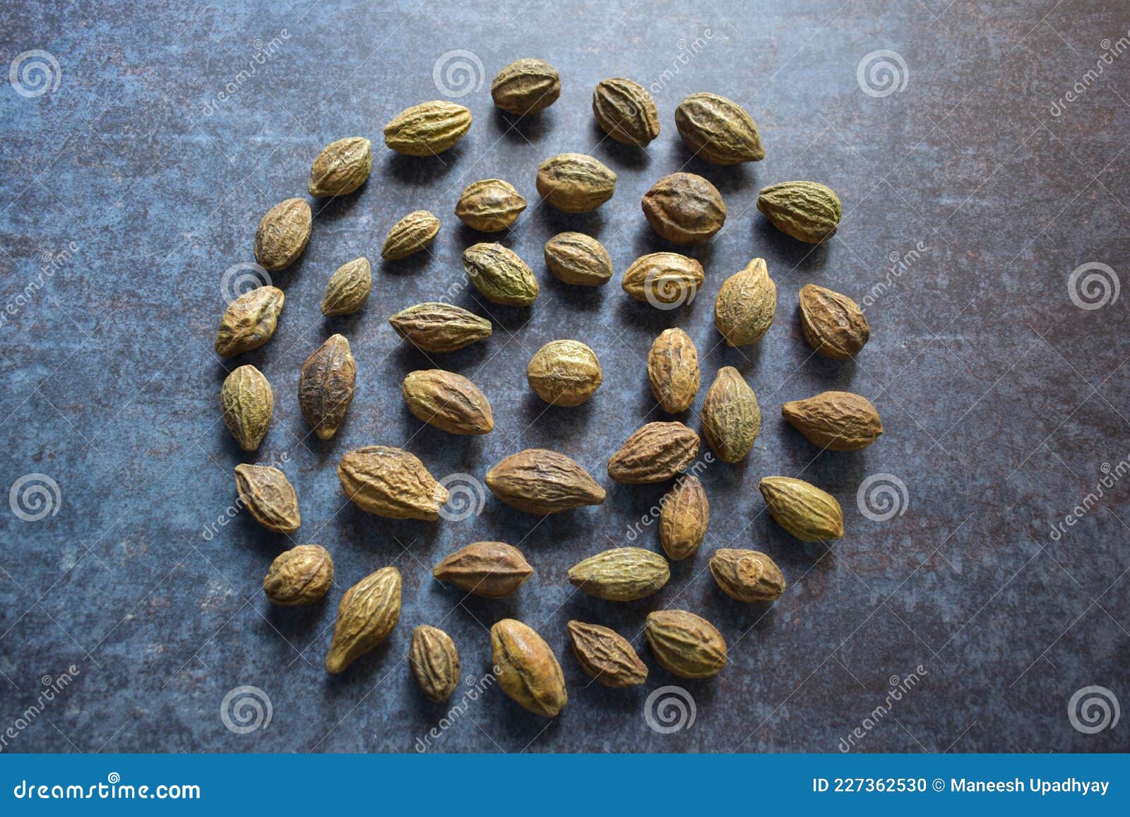 Dried Harad stock photo. Image of herb, ayurvedic, harar - 227362530