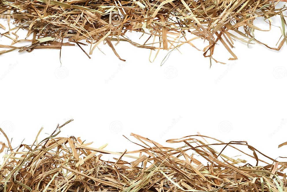 Dried Hay on White Background, Top View Stock Photo - Image of copy ...