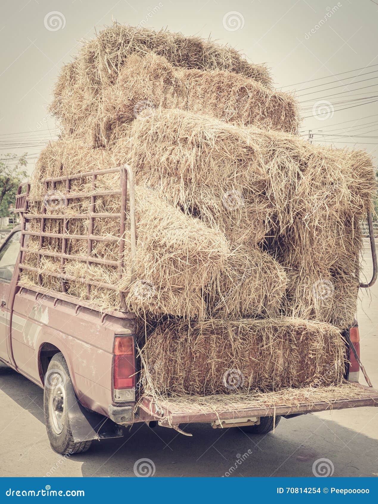 Dried haystack on truck stock photo. Image of farm, transportation ...