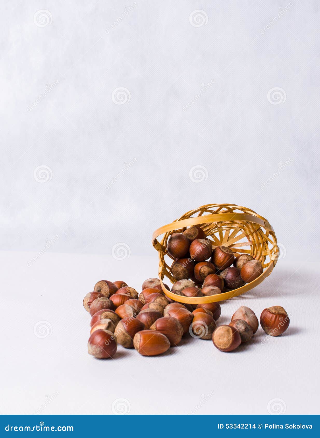 Dried hazelnuts in basket stock photo. Image of hazelnuts - 53542214