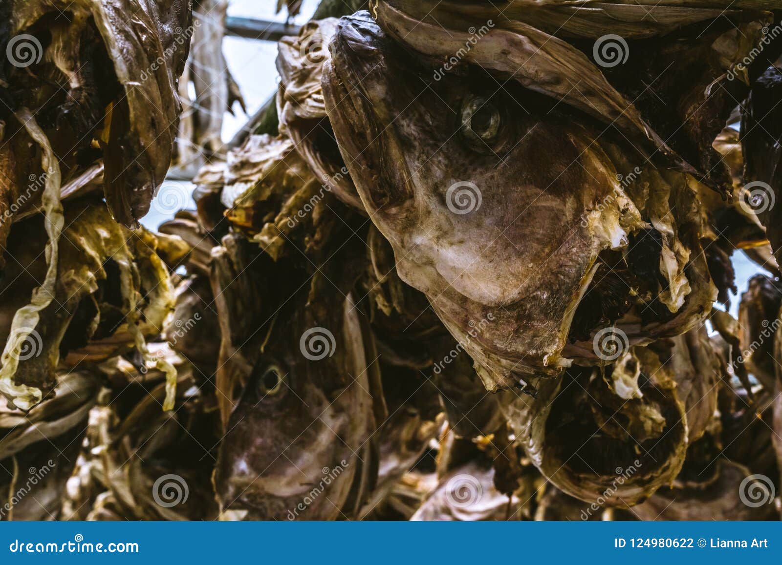 The Dried Heads of Fish Cod Which are Hanged Out Stock Photo - Image of ...