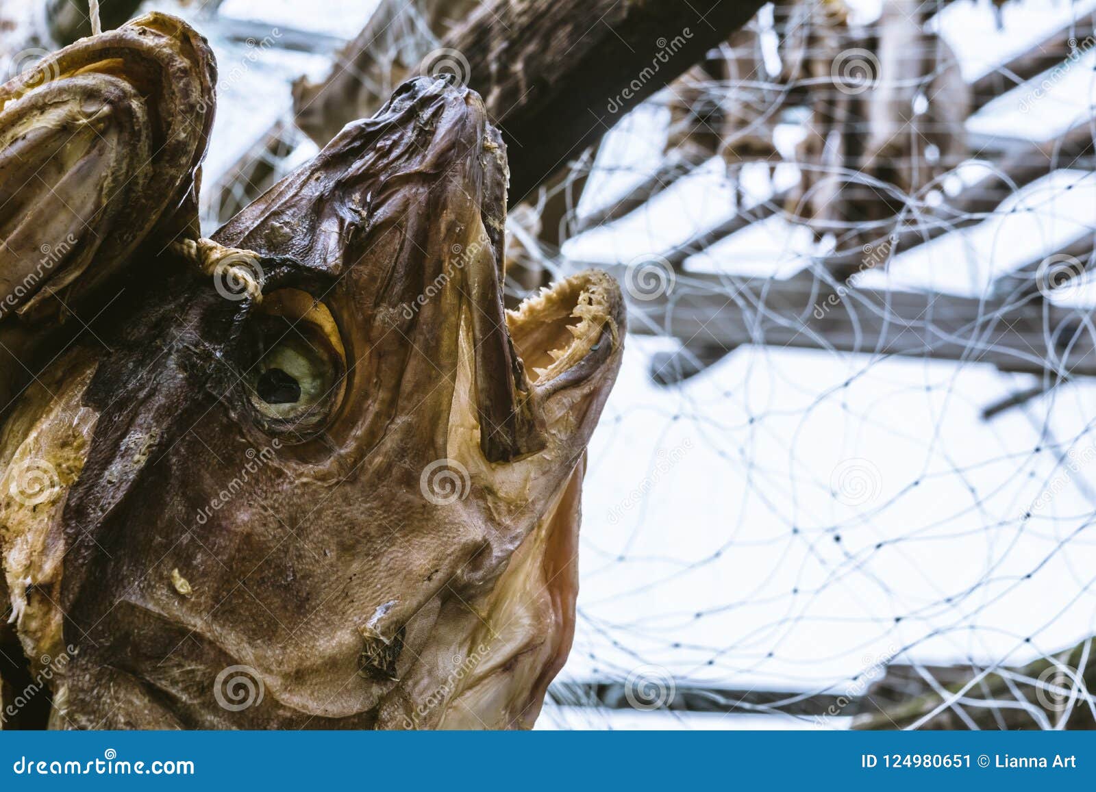 The Dried Heads of Fish Cod Which are Hanged Out Stock Image - Image of ...