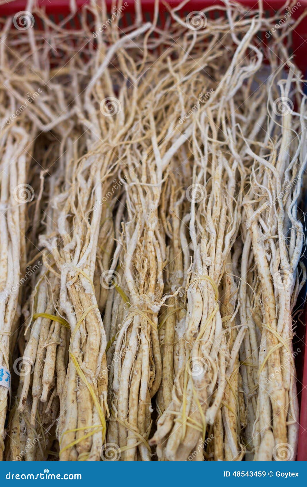 Dried herbal root stock image. Image of sale, food, hang - 48543459