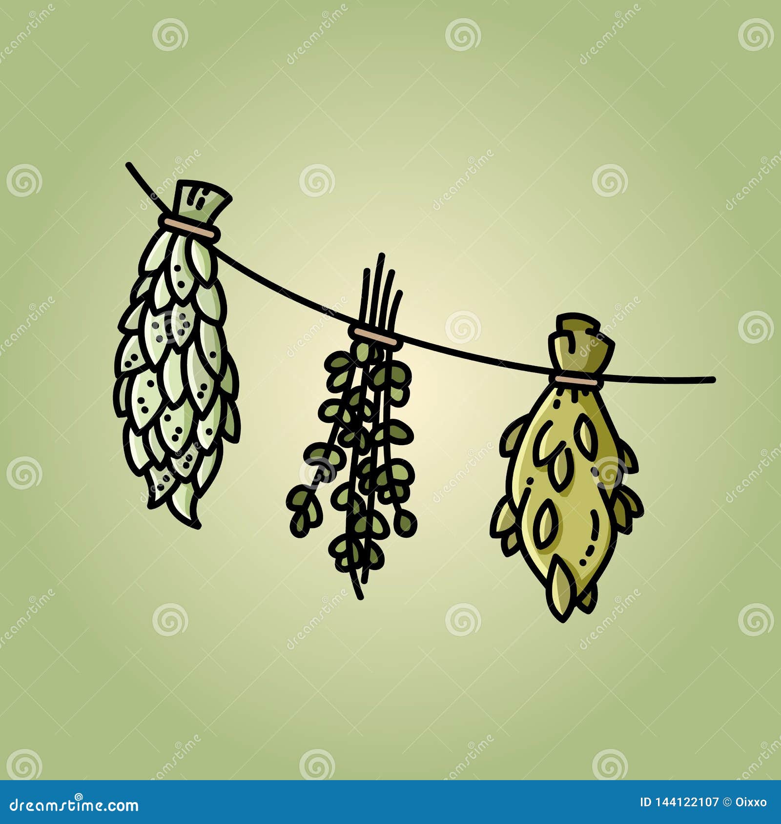 Set Of Dried Herbs. Cartoon Flat Vector Illustration Isolated On White ...