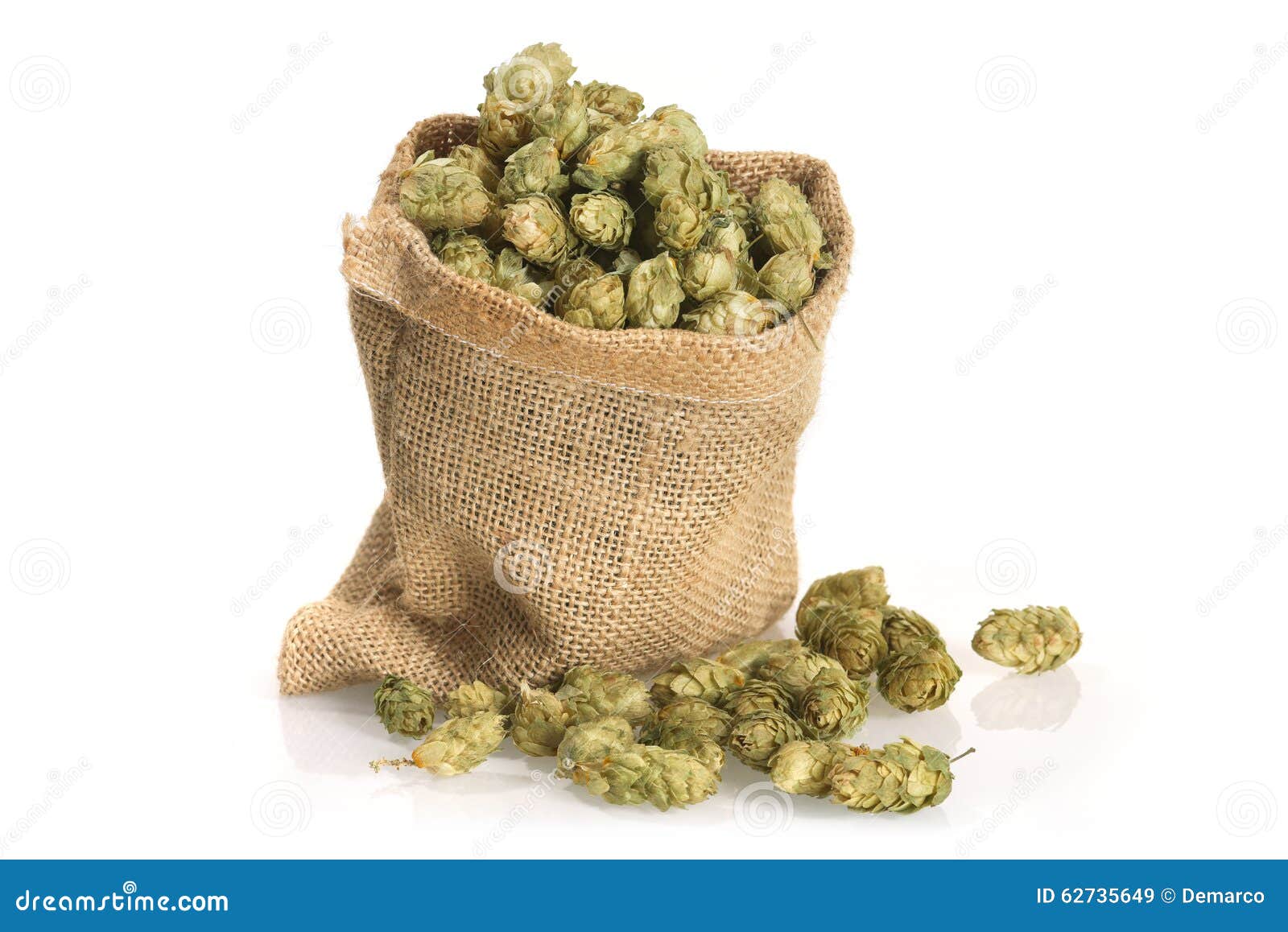 Dried hops stock image. Image of hops, alcohol, harvest - 62735649