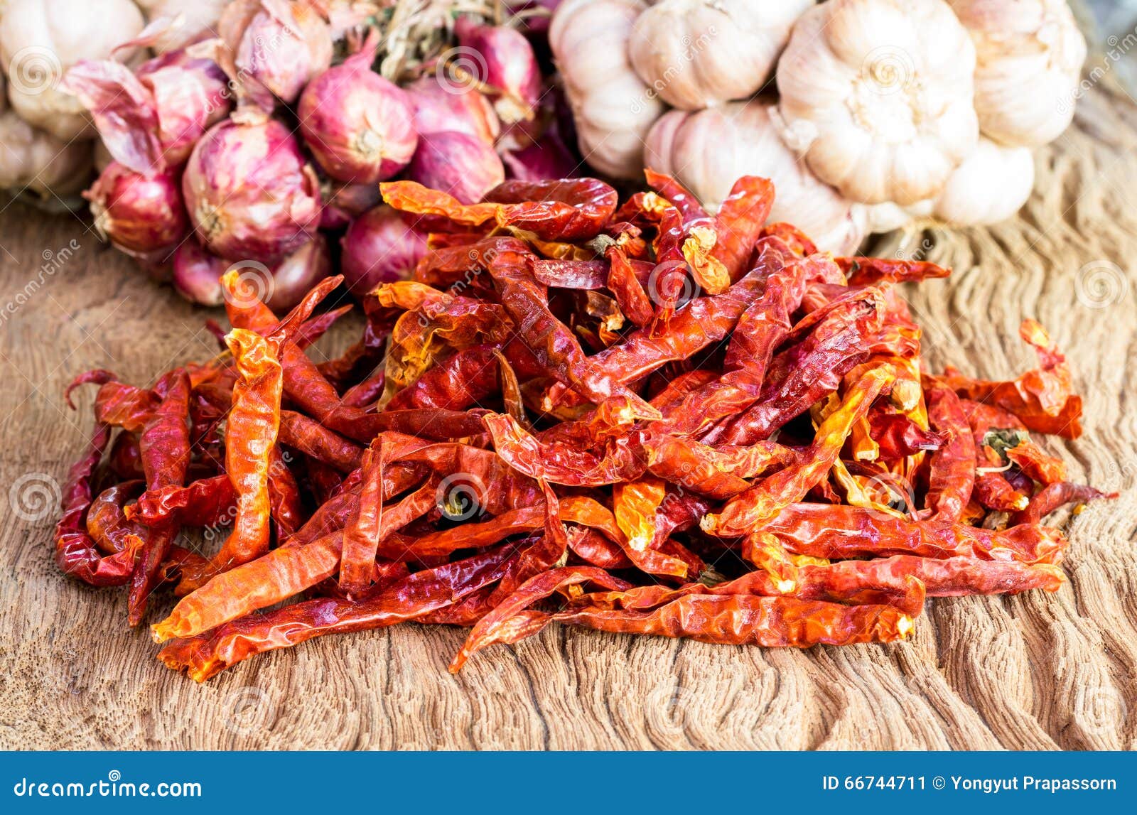Dried hot red chillies stock image. Image of spicy, dried - 66744711