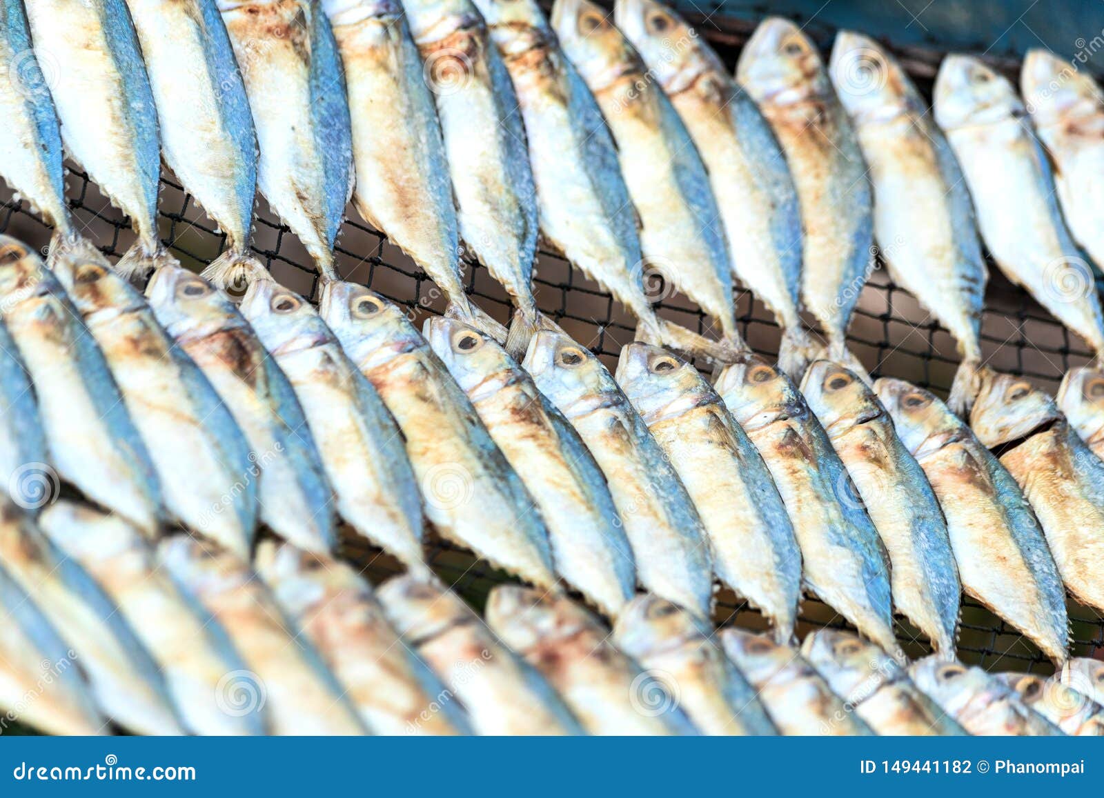 Dried Indian Mackerel Dried Fish Stock Photos - Download 12 Royalty ...