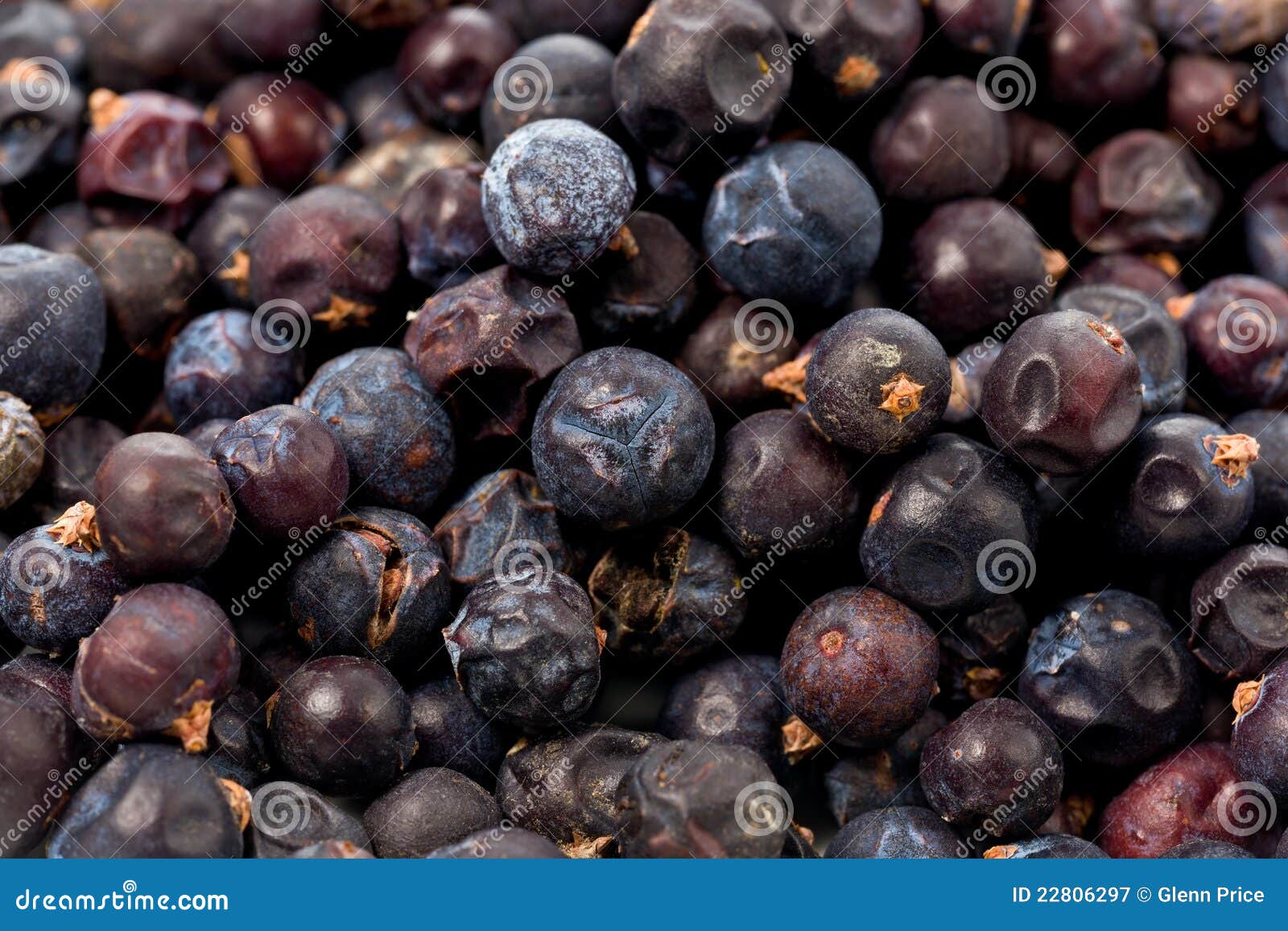 Dried Juniper Berries stock image. Image of ingredient - 22806297
