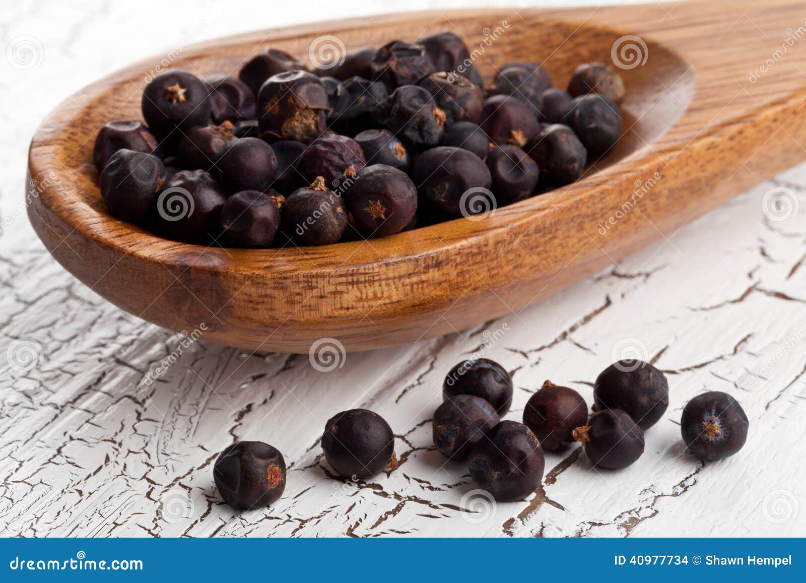 Dried Juniper Berries on Spoon Stock Photo - Image of rustic ...