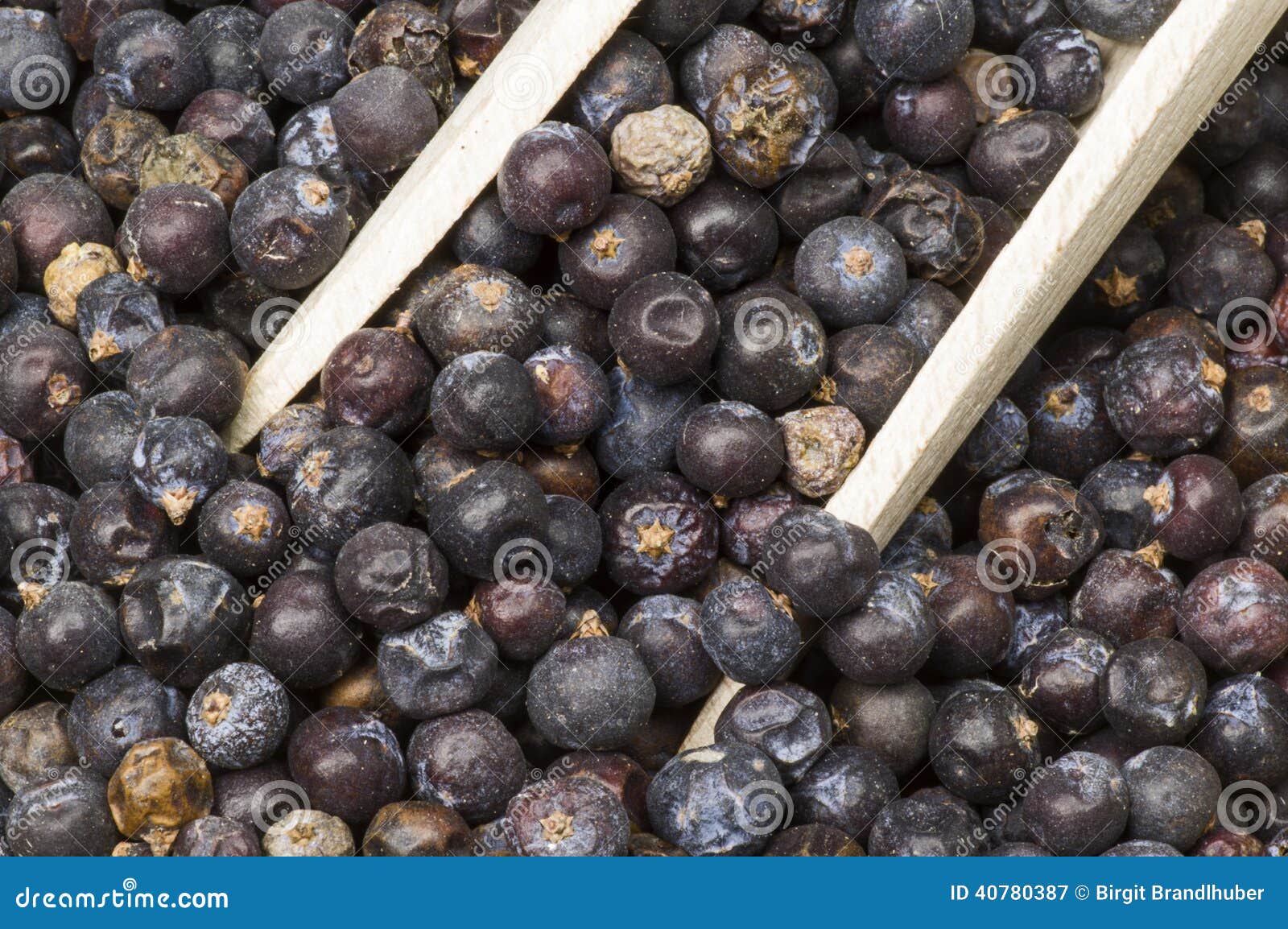 Dried juniper berries stock image. Image of eating, dried - 40780387