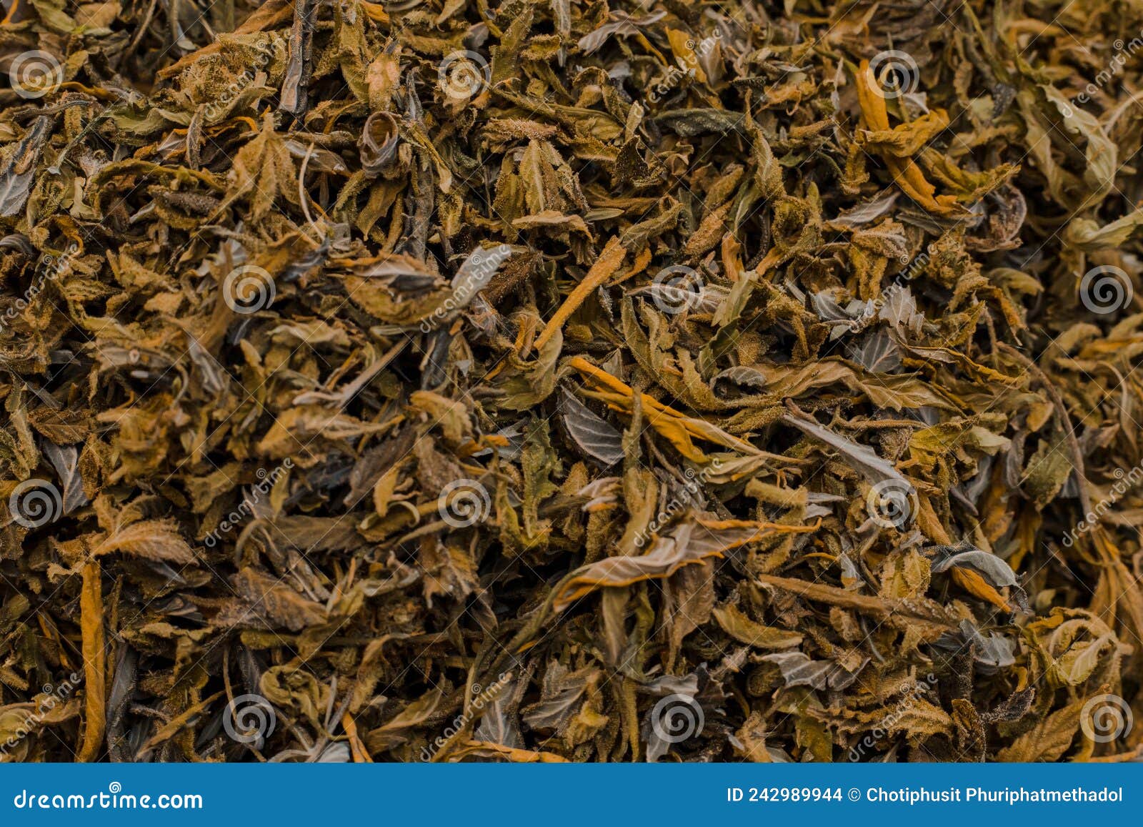 Dried Cannabis Flower On Cheese Tray Wood Background Royalty-Free Stock ...