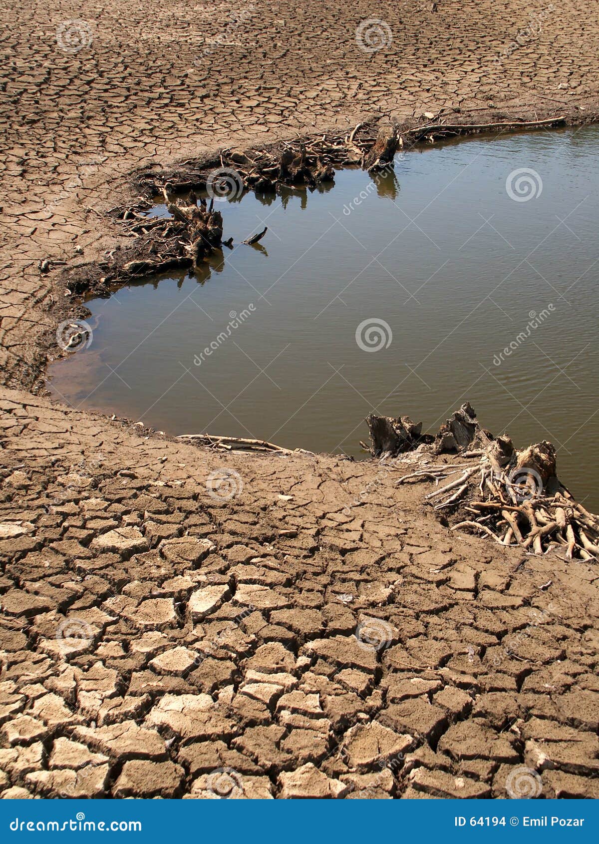 Dried lake bed stock photo. Image of lake, empty, sore, earth - 64194