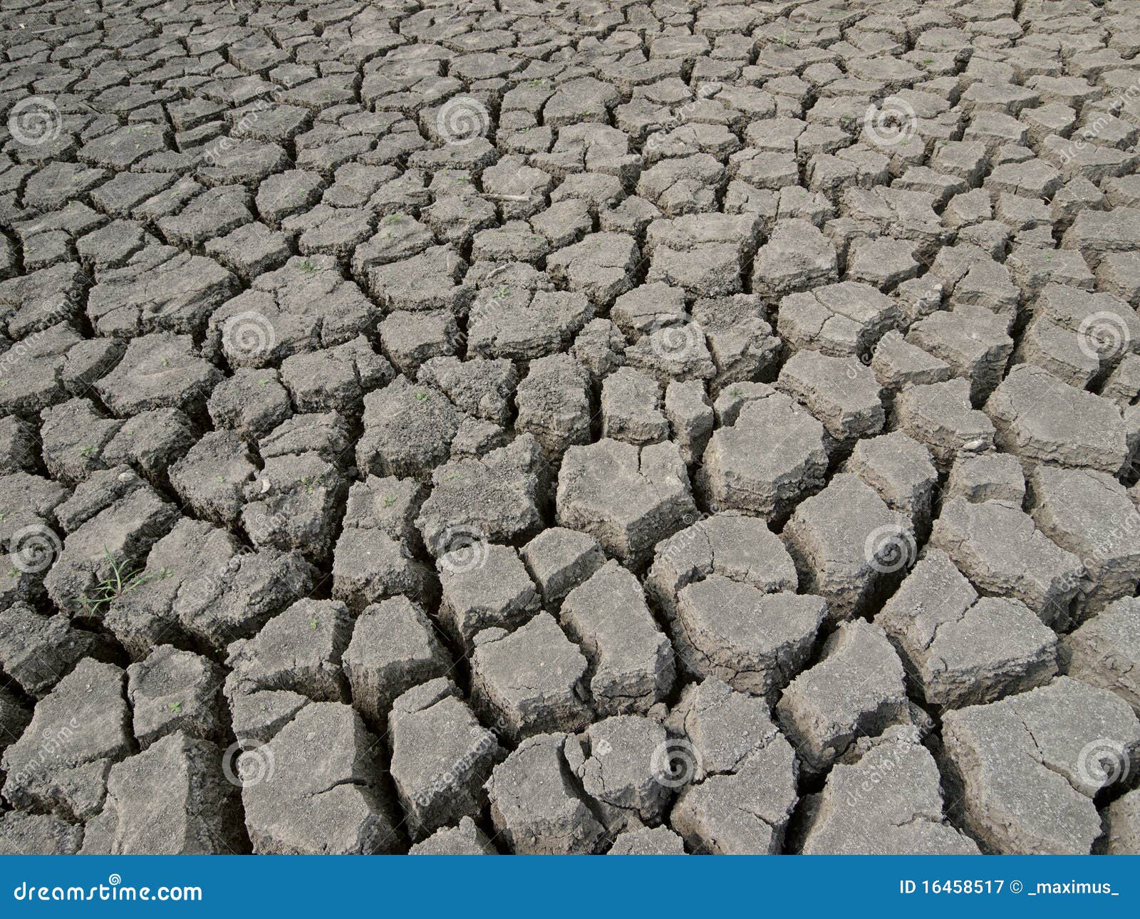 Dried land stock image. Image of ground, outdoors, abstract - 16458517