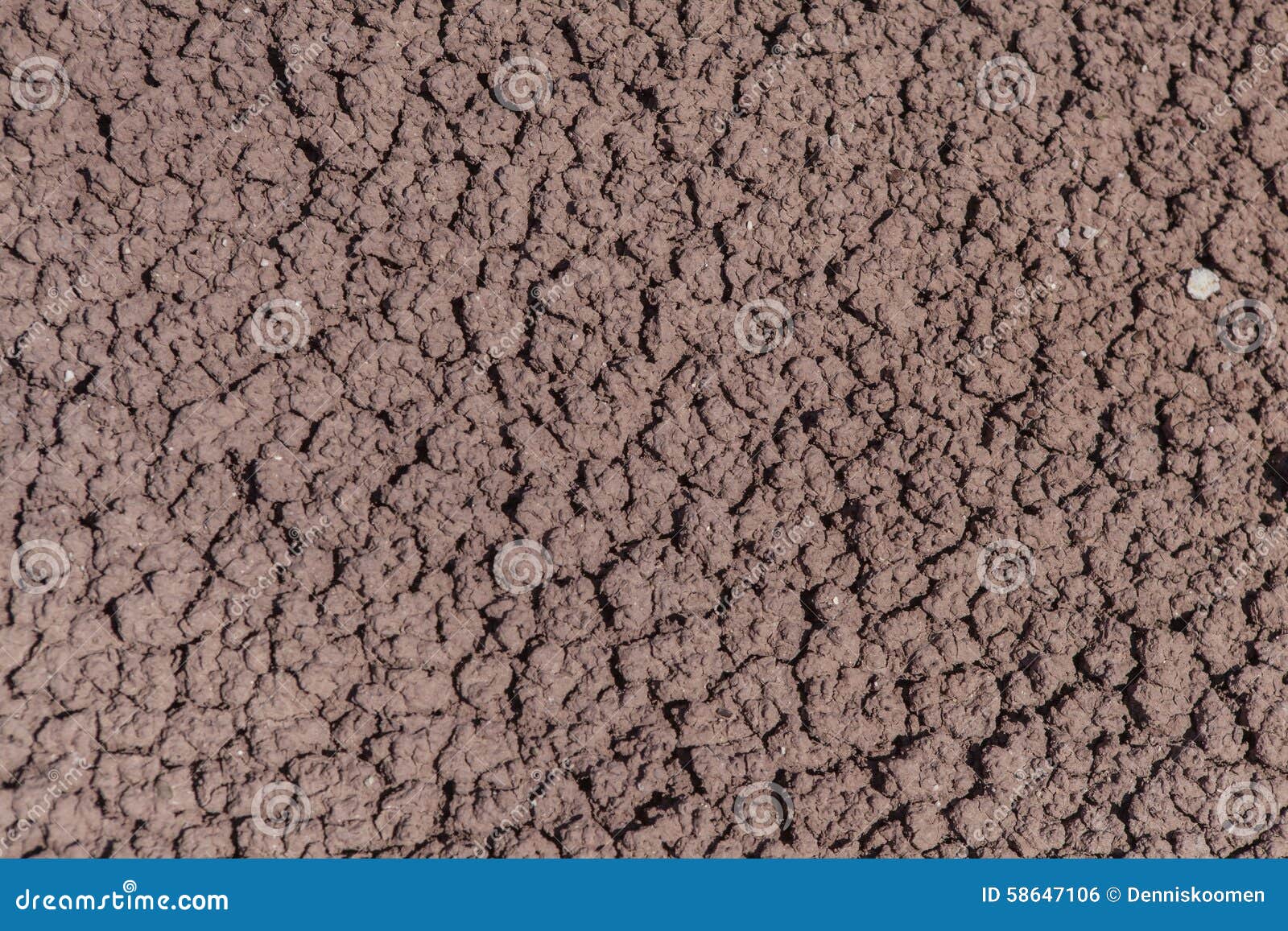 Dried land stock photo. Image of drought, africa, food - 58647106