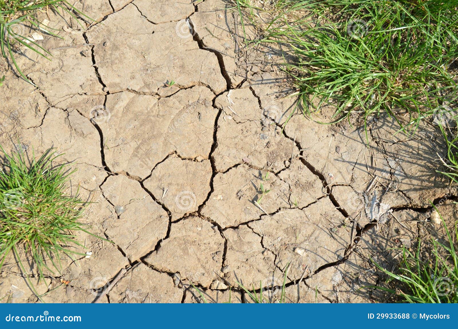 Dried land and grass stock photo. Image of arid, waterless - 29933688