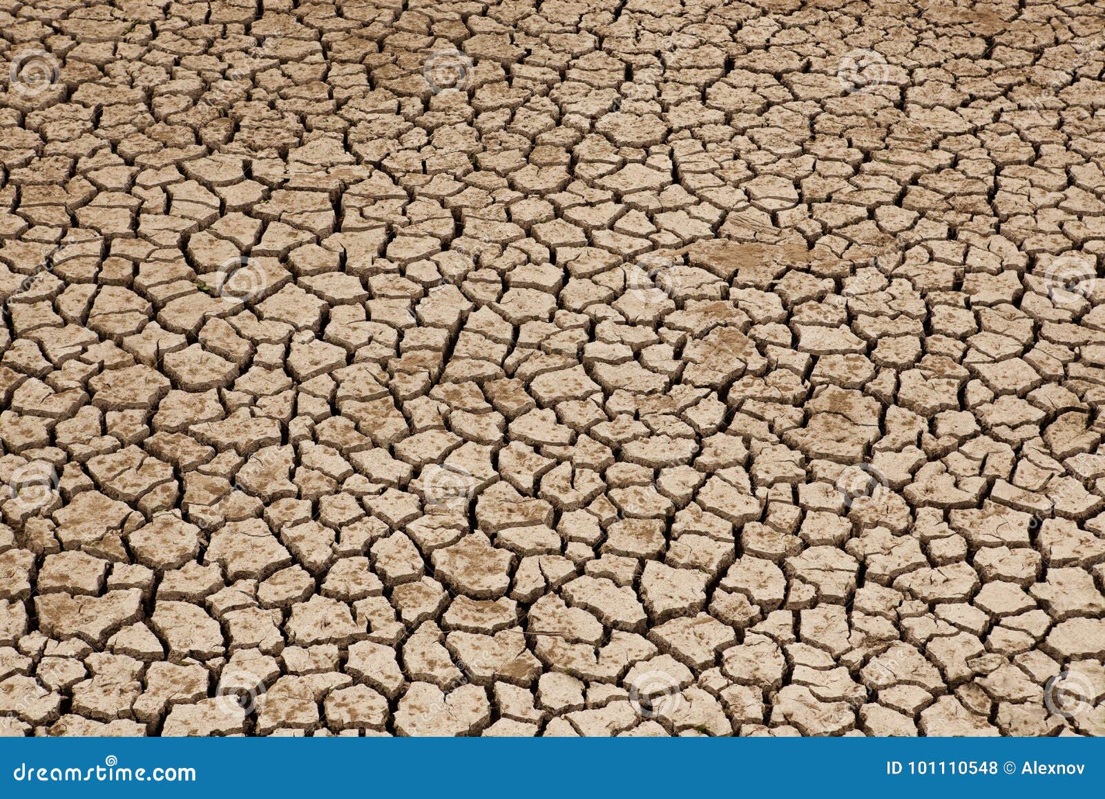 Dried Land Suffering from Drought Stock Photo - Image of soil, ground ...