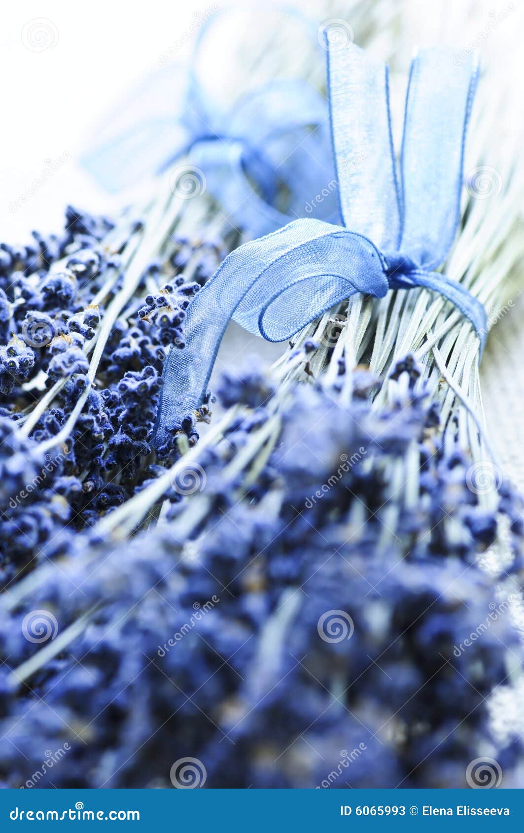 Dried lavender stock image. Image of sprigs, organic, bunches - 6065993