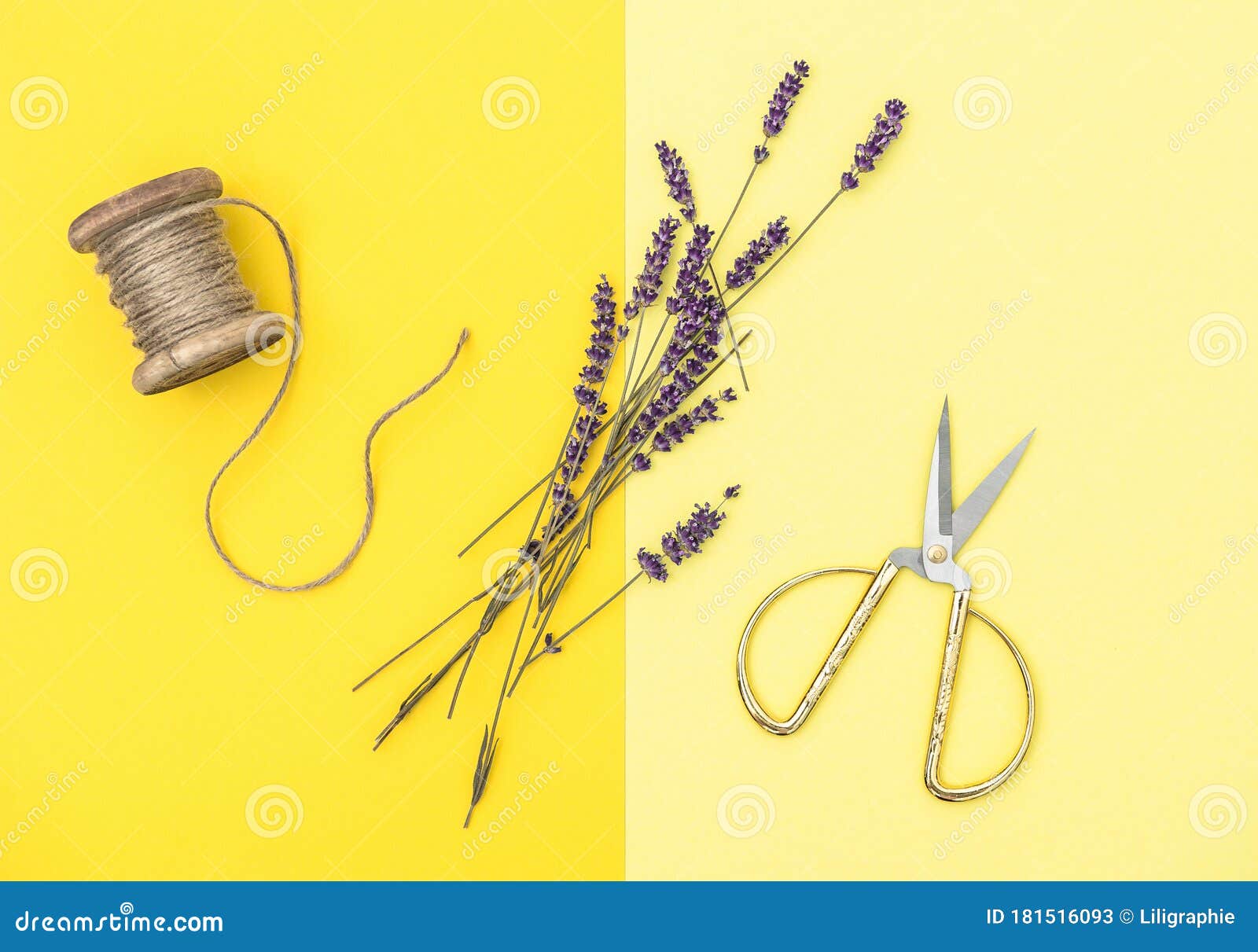 Dried Lavender Flowers Vintage Scissors Flat Lay Stock Image - Image of ...