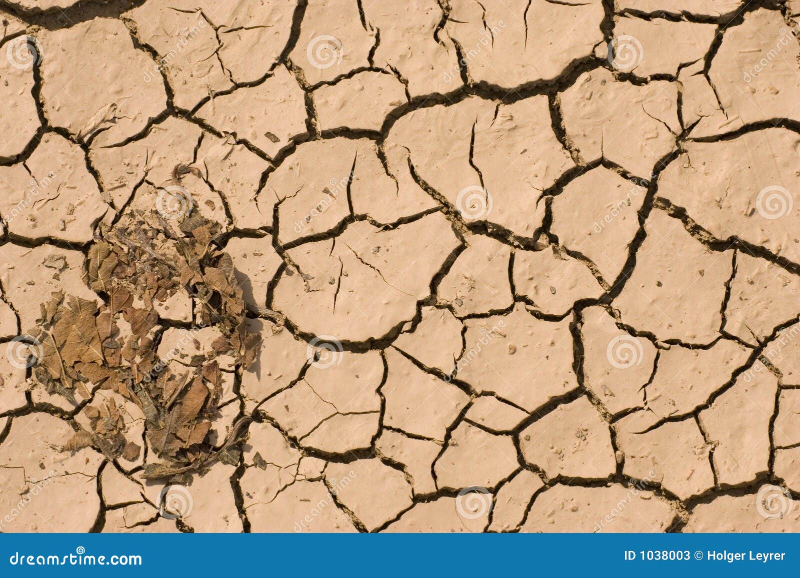 1,923 Dried Leaf Sheet Stock Photos - Free & Royalty-Free Stock Photos ...