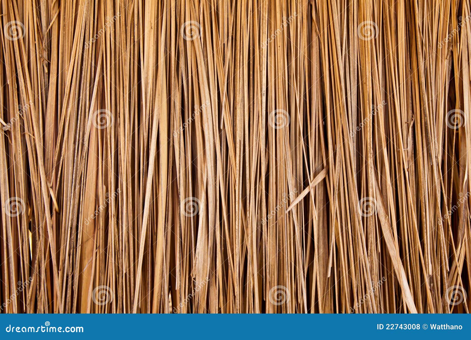 Dried Leaf Texture stock photo. Image of design, nature - 22743008