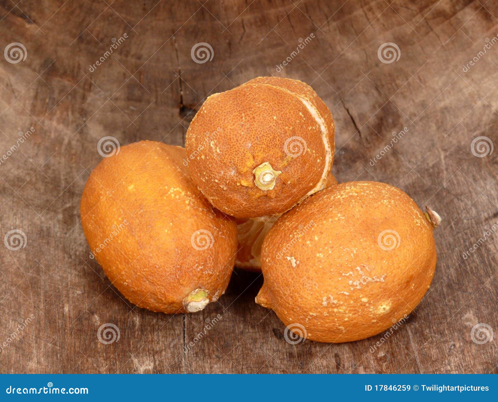 Dried lemon stock image. Image of life, brown, citrus - 17846259