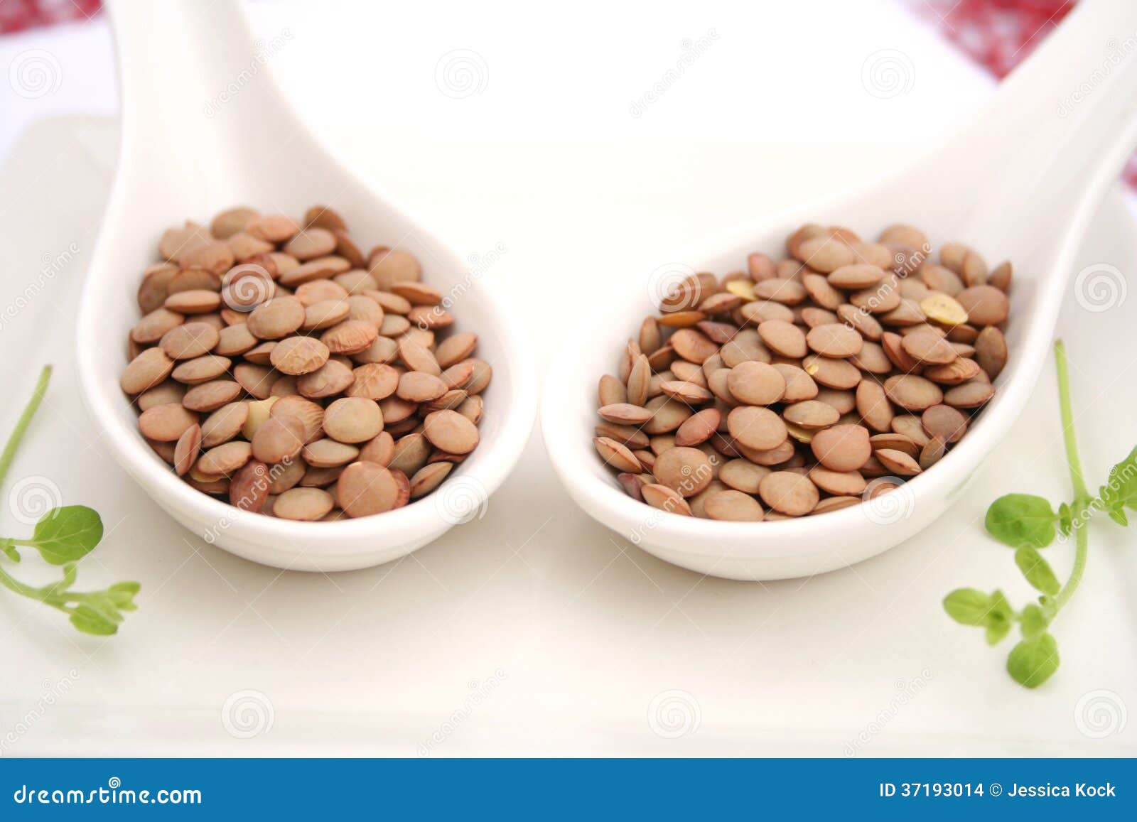 Dried lentils stock photo. Image of dried, oriental, vegetables - 37193014
