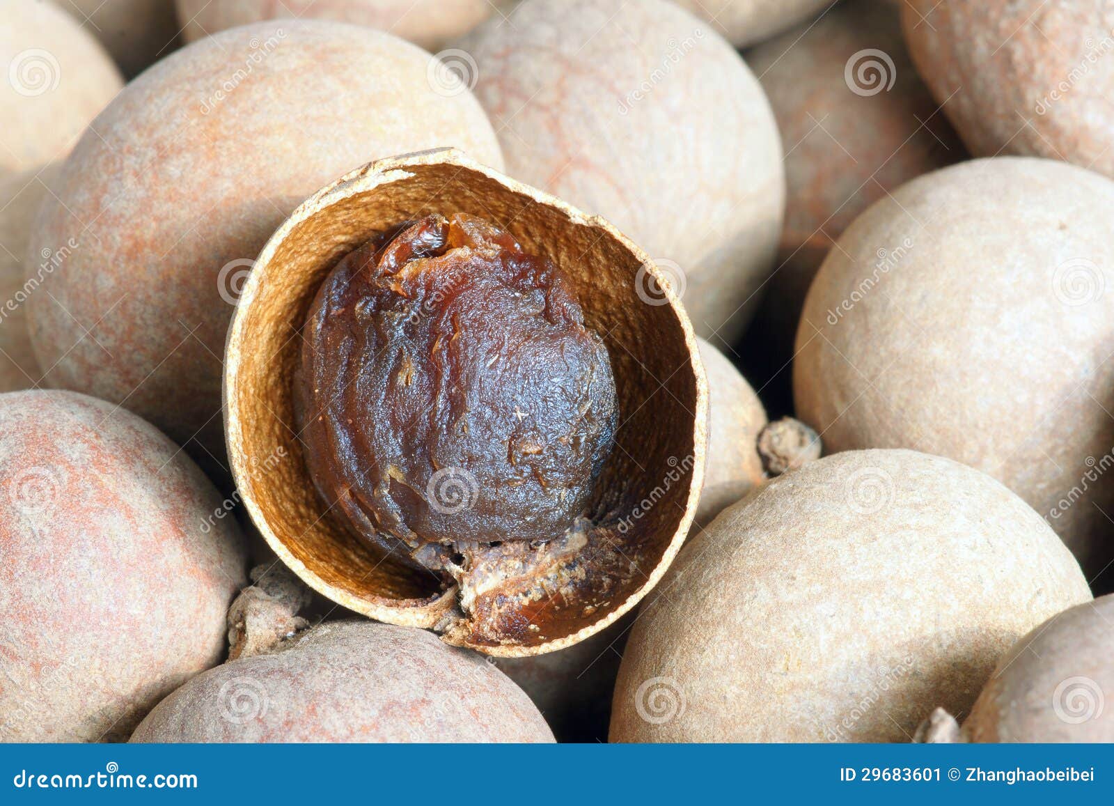 Dried longan stock image. Image of tropic, shelled, closeup - 29683601