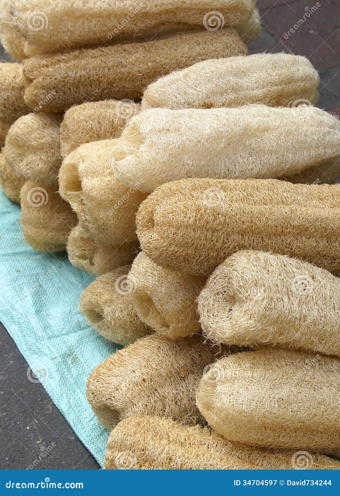 Dried loofah stock image. Image of exfoliation, lufah - 34704597