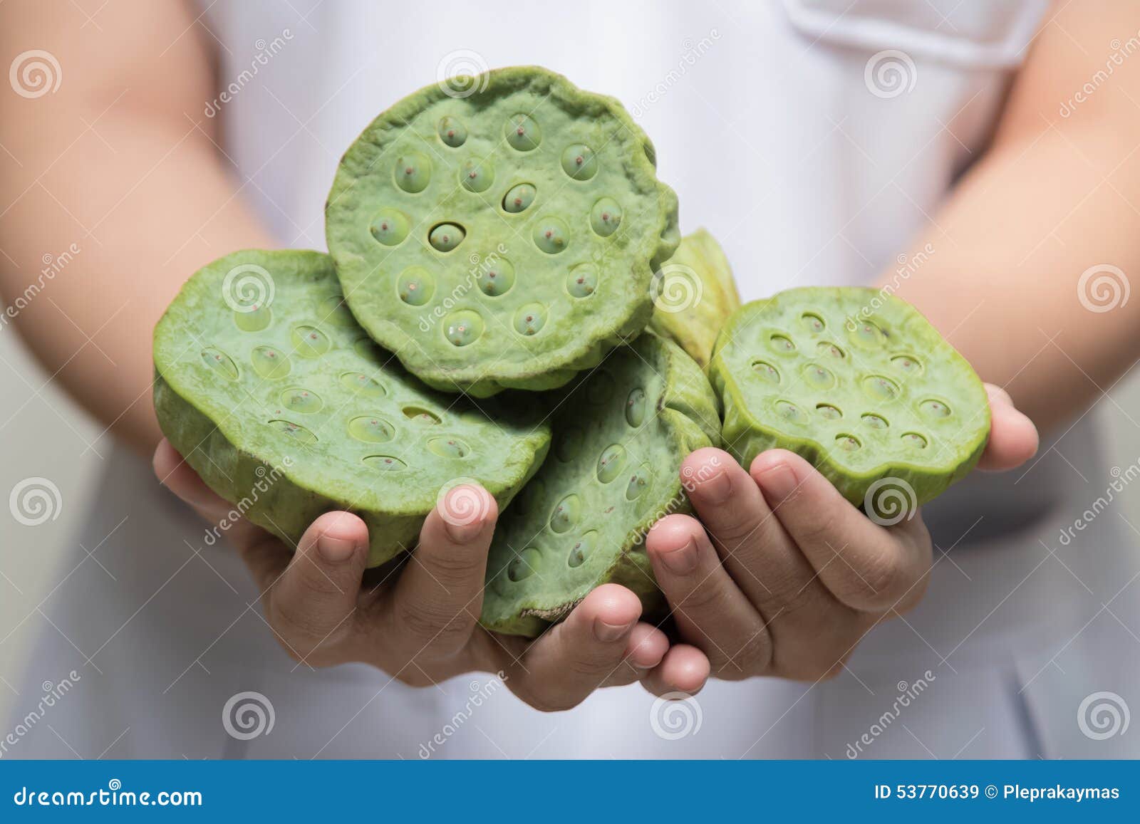 Dried lotus seeds stock image. Image of medicine, seed - 53770639