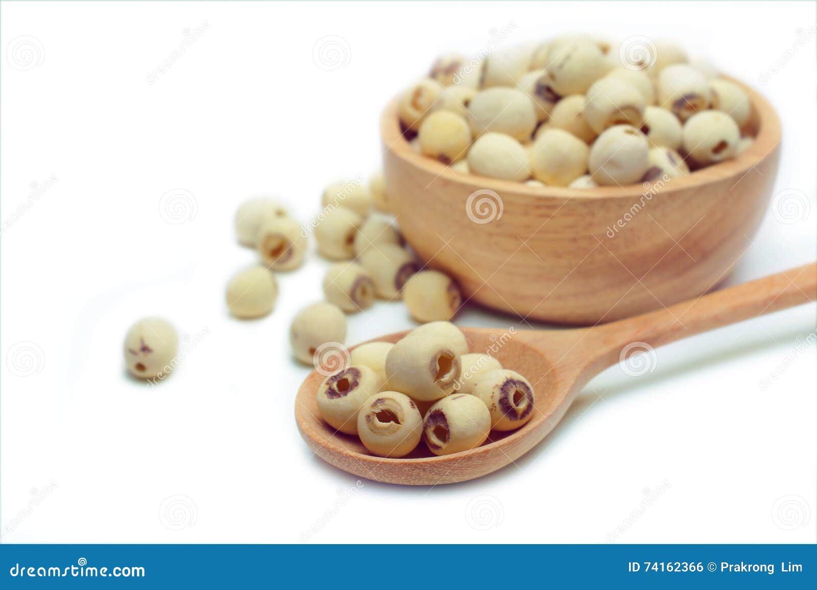 Dried lotus seeds. stock photo. Image of appetizer, ingredient - 74162366