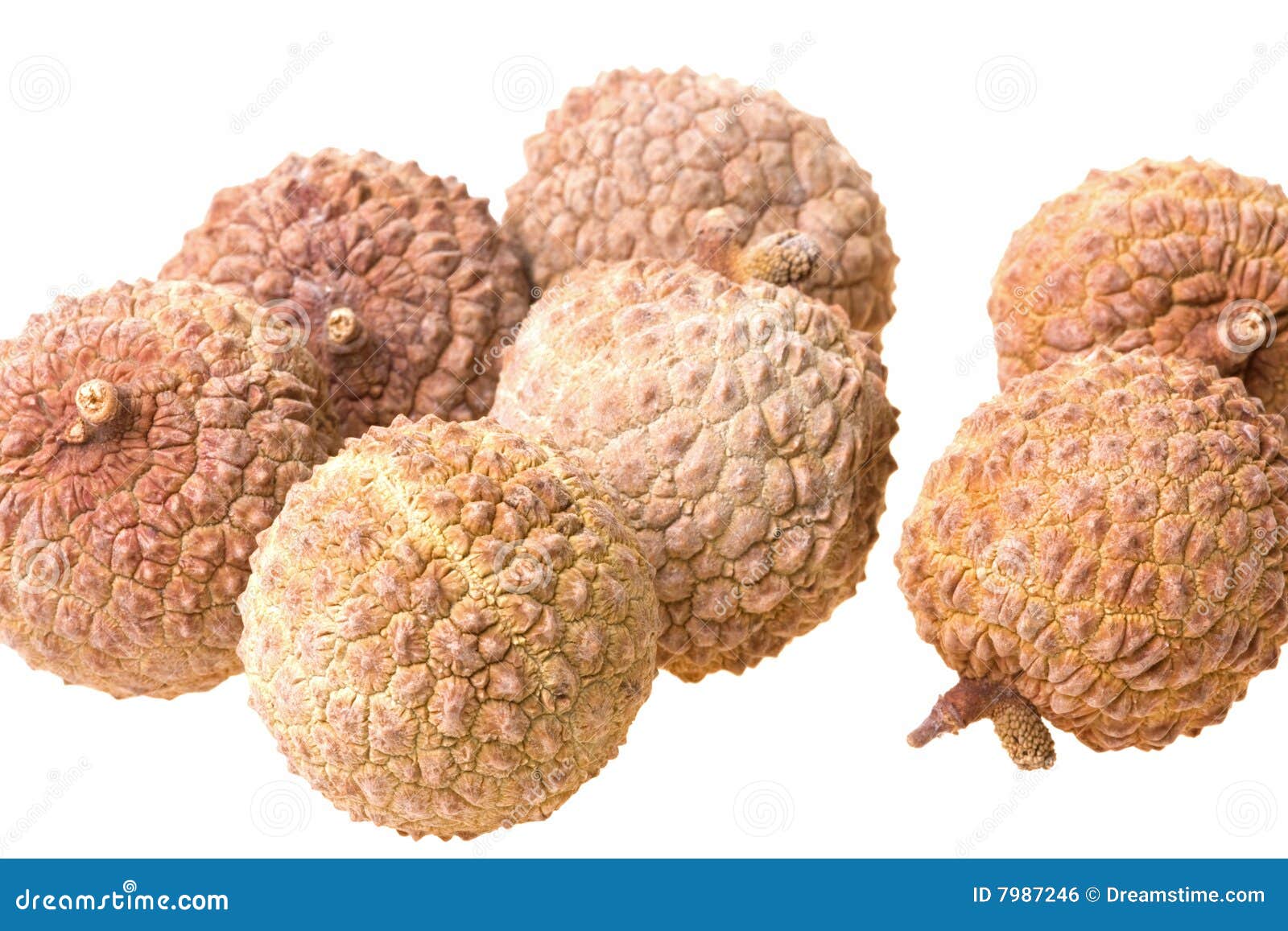 Dried Lychees Isolated stock photo. Image of fruit, closeup - 7987246