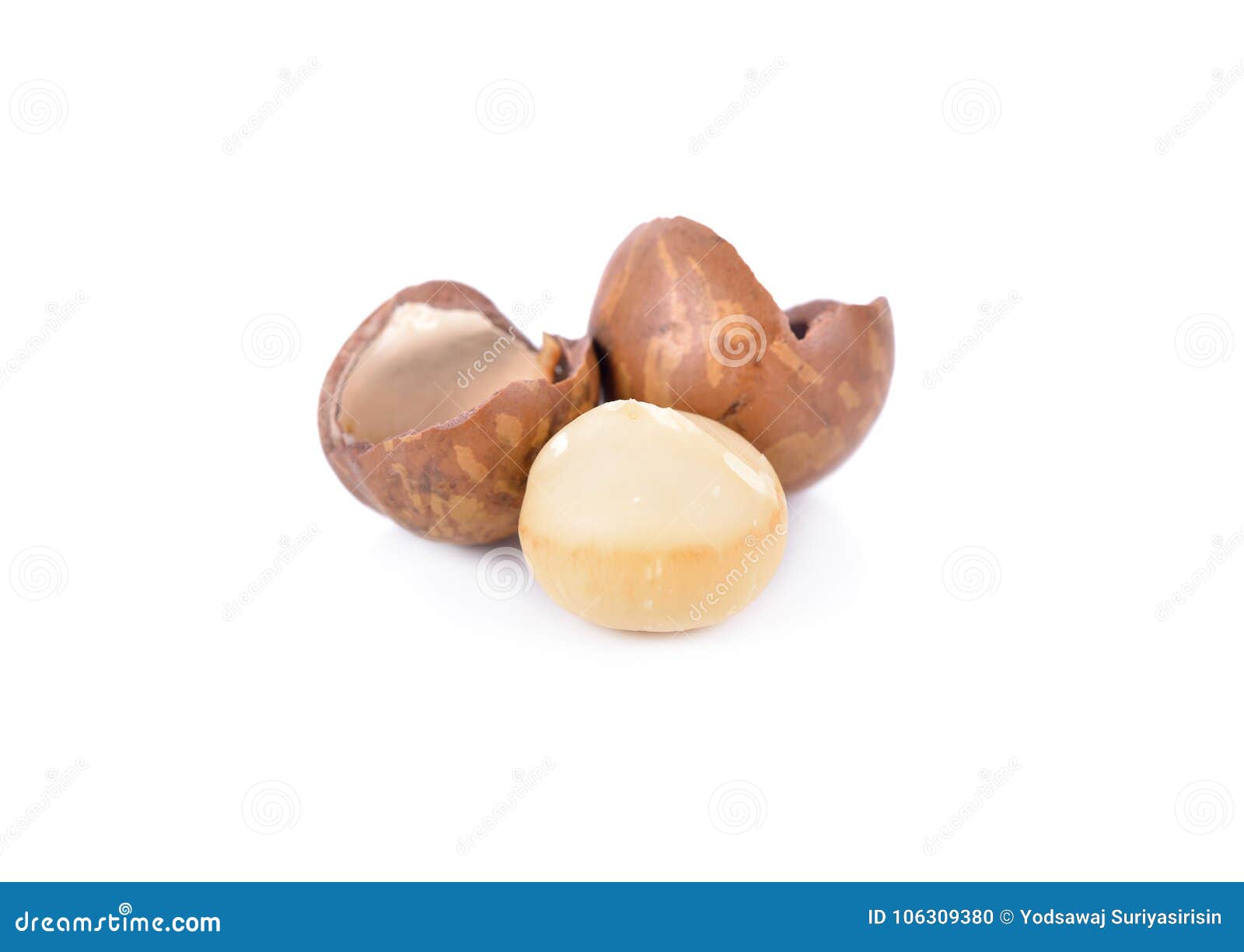 Dried Macadamia Nut on White Background Stock Photo - Image of fruit ...