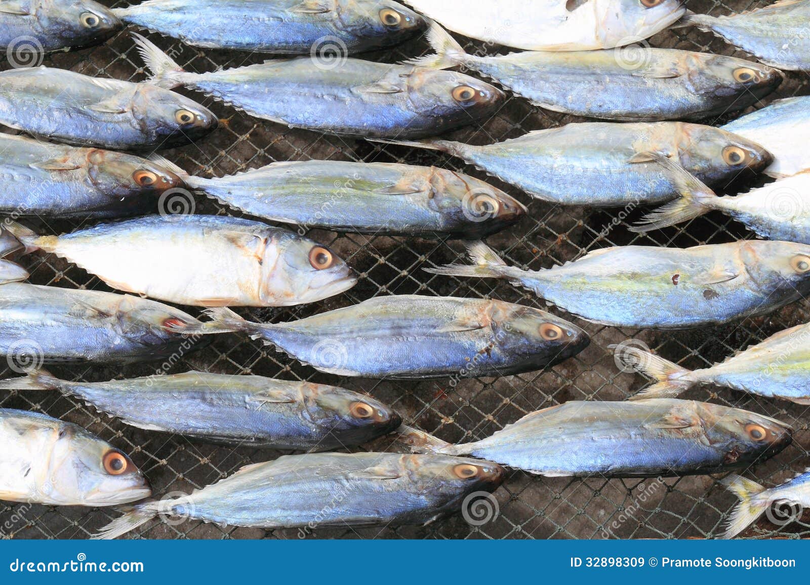 Dried Mackerel stock image. Image of mackerel, fisher - 32898309