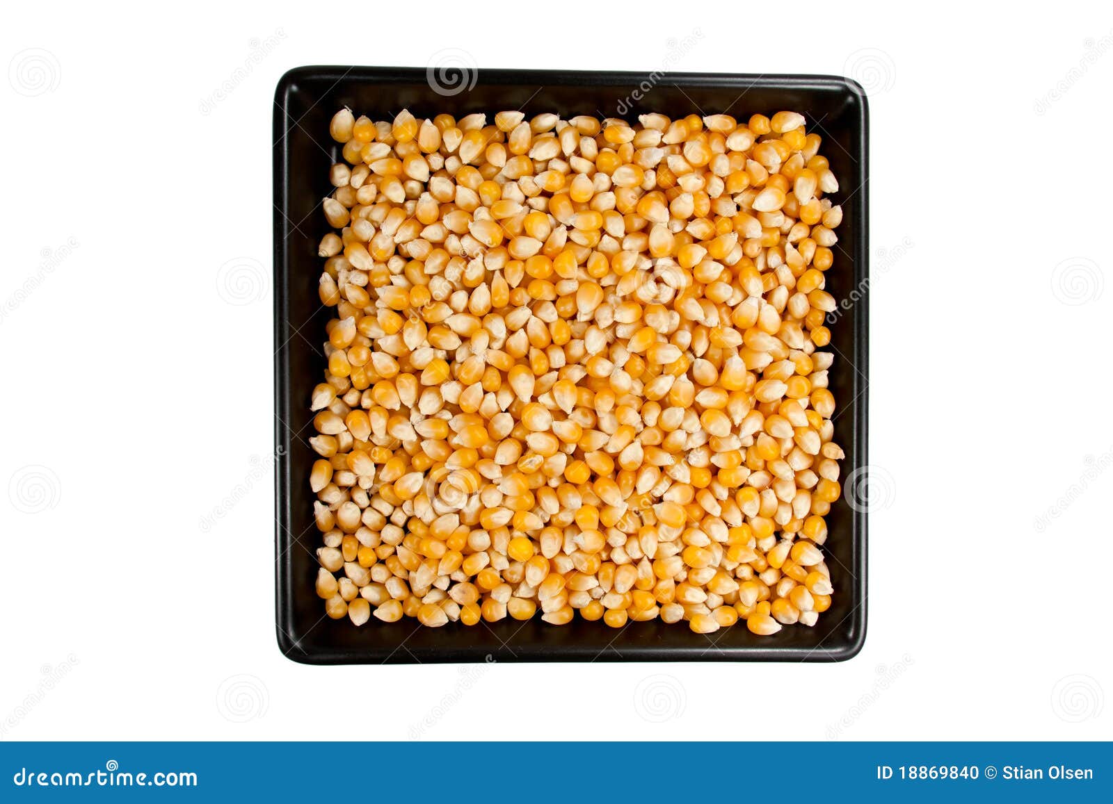 Dried Mais Corn on Black Plate Stock Photo - Image of agriculture ...