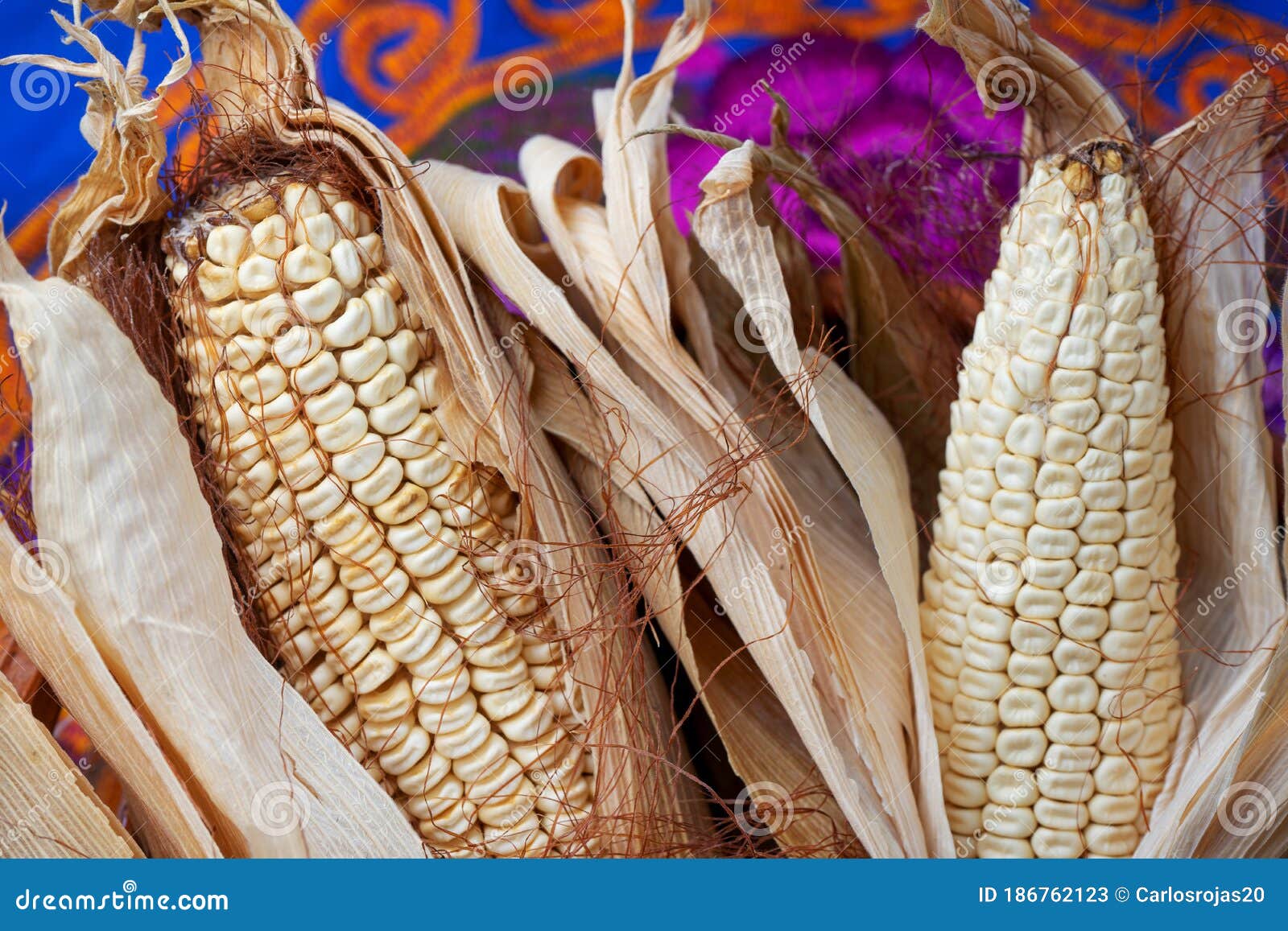 Dried Maize Corn with Leaves Stock Image - Image of background, diet ...