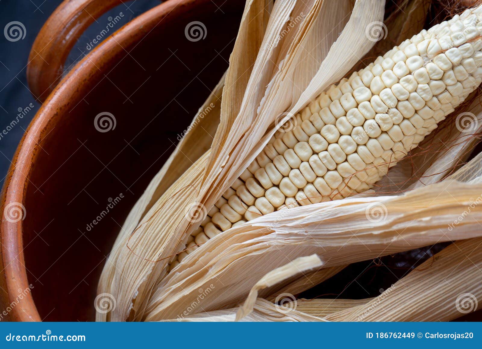 Dried Maize Corn with Leaves Stock Image - Image of meal, ingredient ...