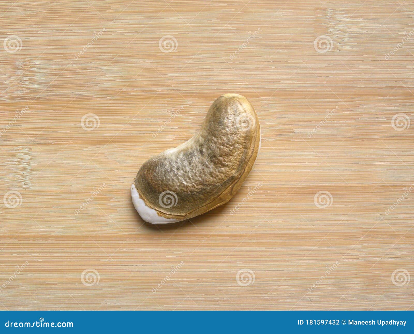 Dried mango seed stock photo. Image of indica, coat - 181597432